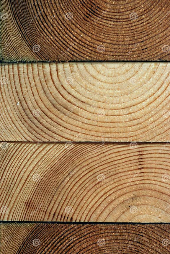 Yearly rings stock image. Image of sample, annual, pattern - 5772433