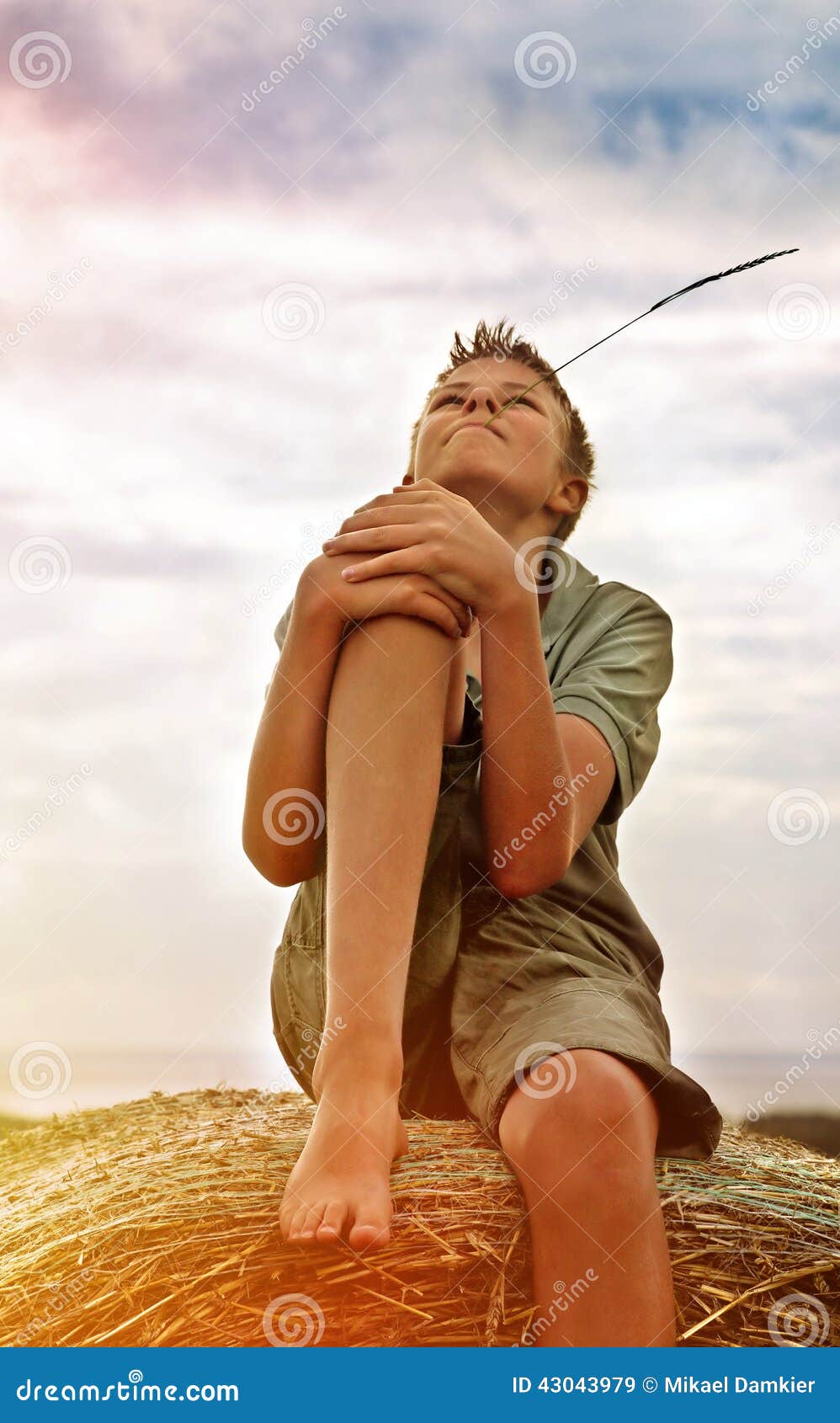 13 Years Old Boy On A Bale Of Hay Royalty-Free Stock Photo ...