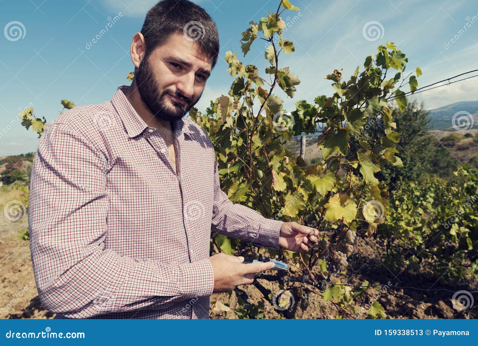 40 Years Old Engineer Measuring with Refractometer in a Vineyard. Stock ...