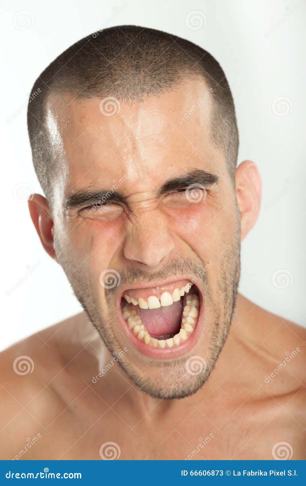 Yelling young man stock image. Image of portrait, anger - 66606873
