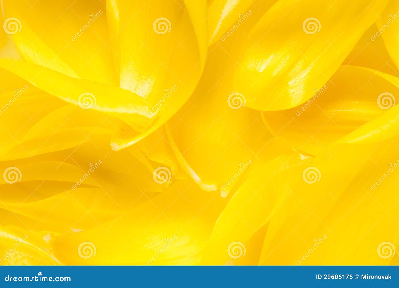Yellow abstract background stock image. Image of color - 29606175