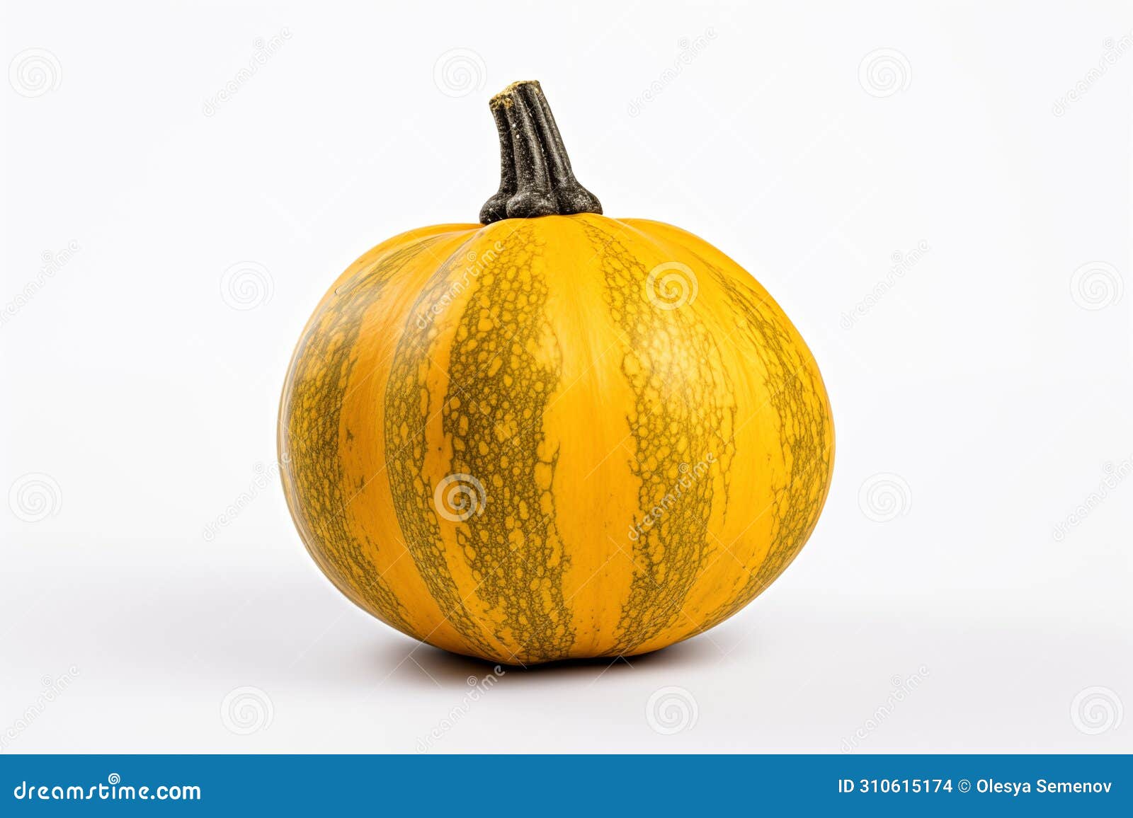 The Yellow Acorn Squash is Isolated on a White Background. Stock Photo ...