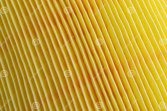 Yellow Air Filter for Car Engine Stock Image - Image of detail, layer ...