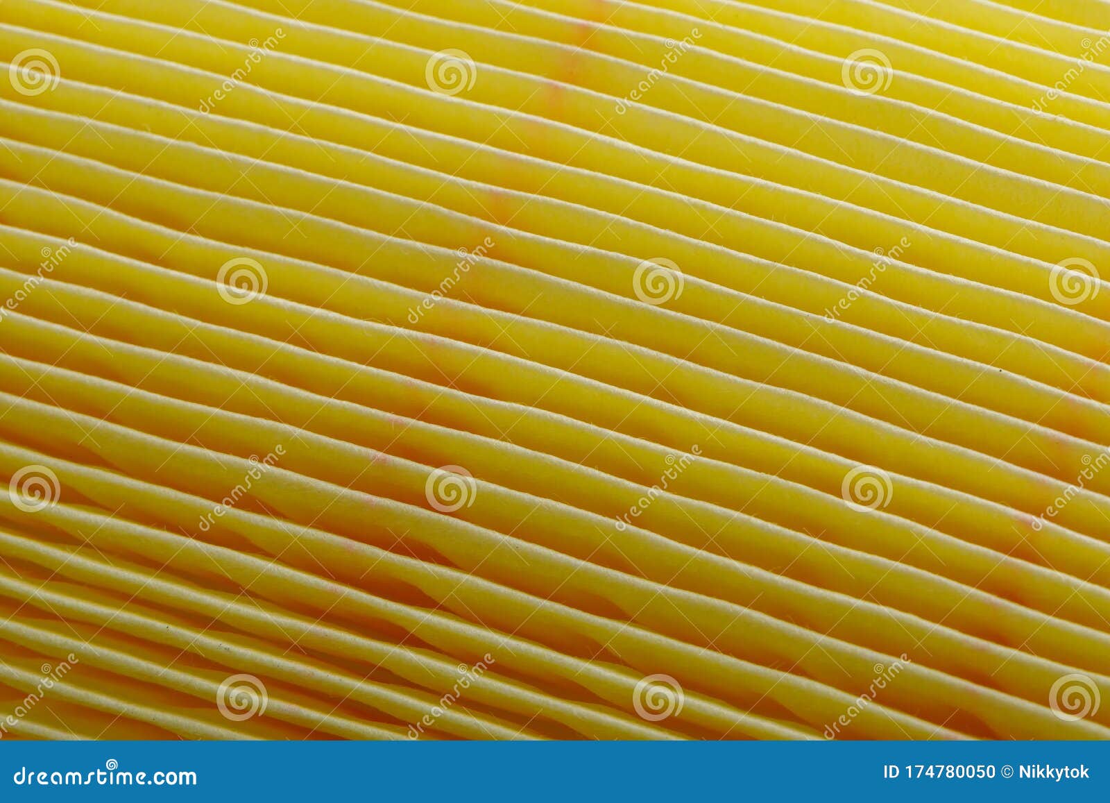 Yellow Air Filter for Car Engine Stock Photo - Image of auto, cleaner ...