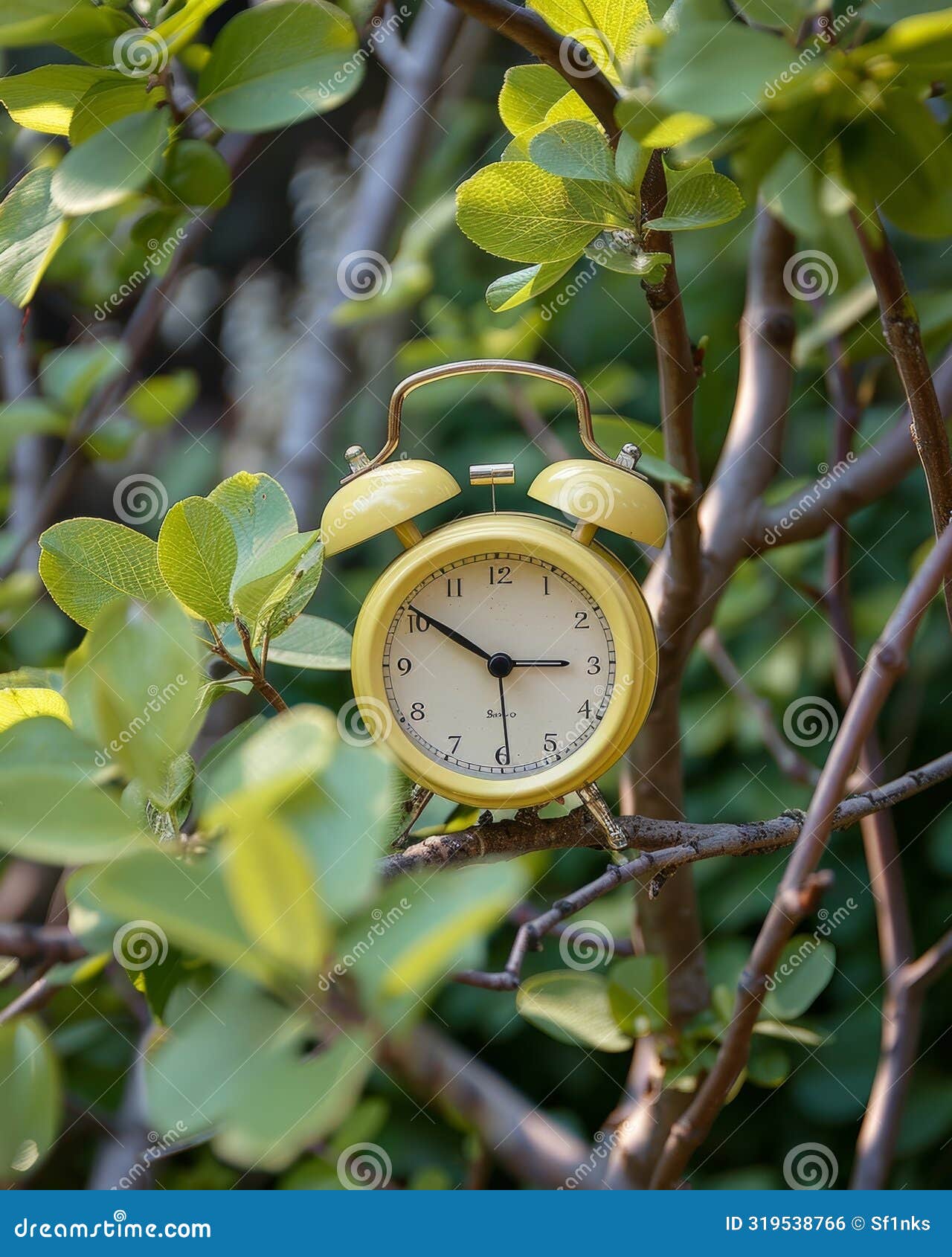A Yellow Alarm Clock Placed on a Tree Branch, Against a Clear Sky ...