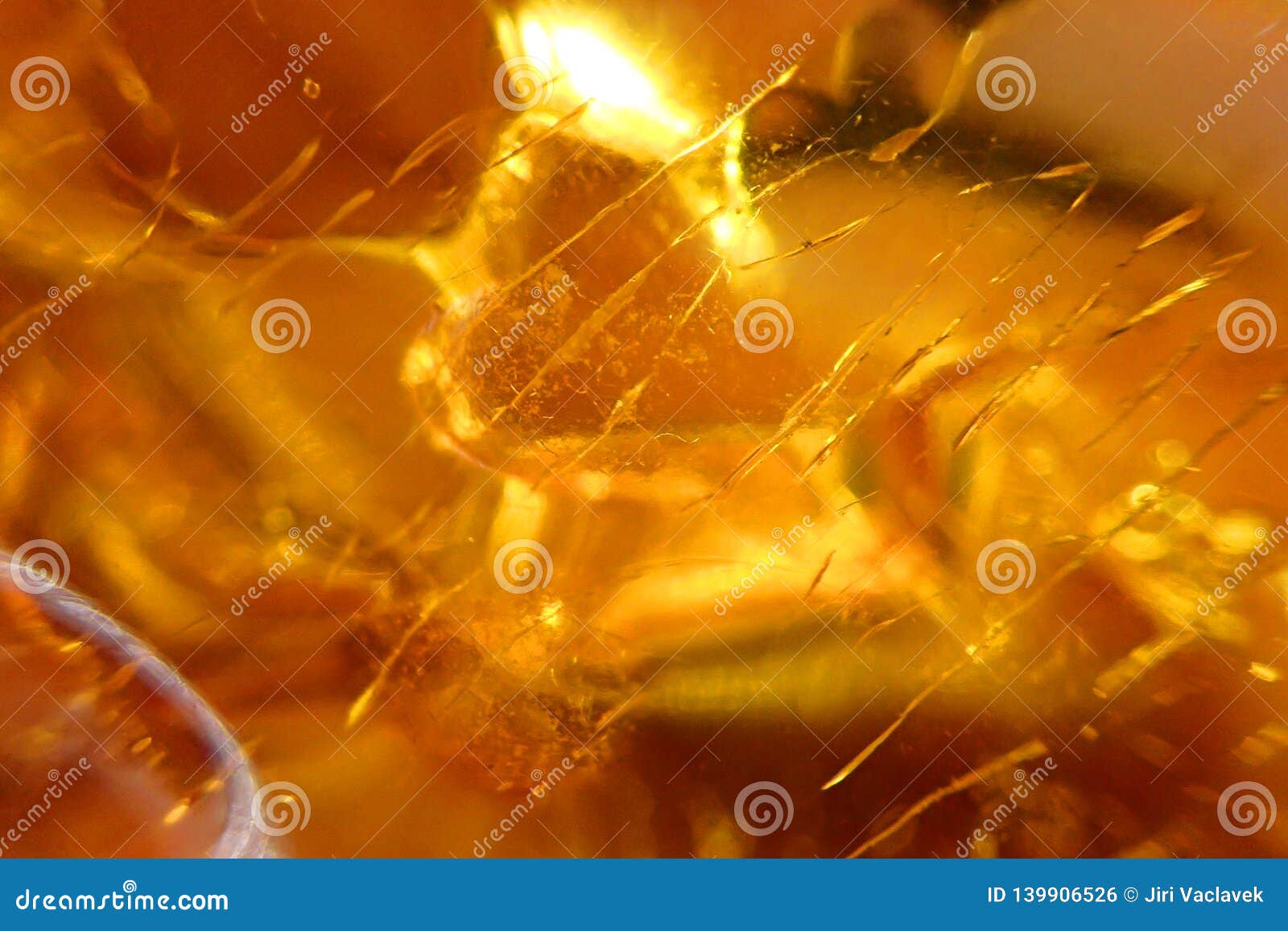Amber Texture Backlit. Macro Detail Texture Background Stock ...
