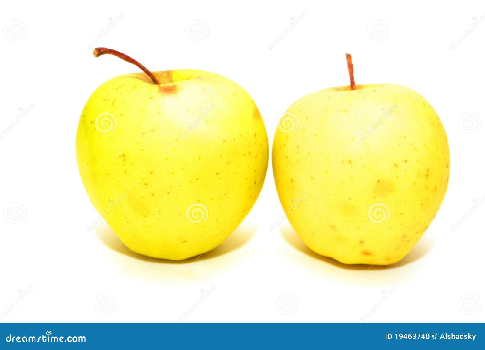 Yellow Apples Picture. Image: 19463740