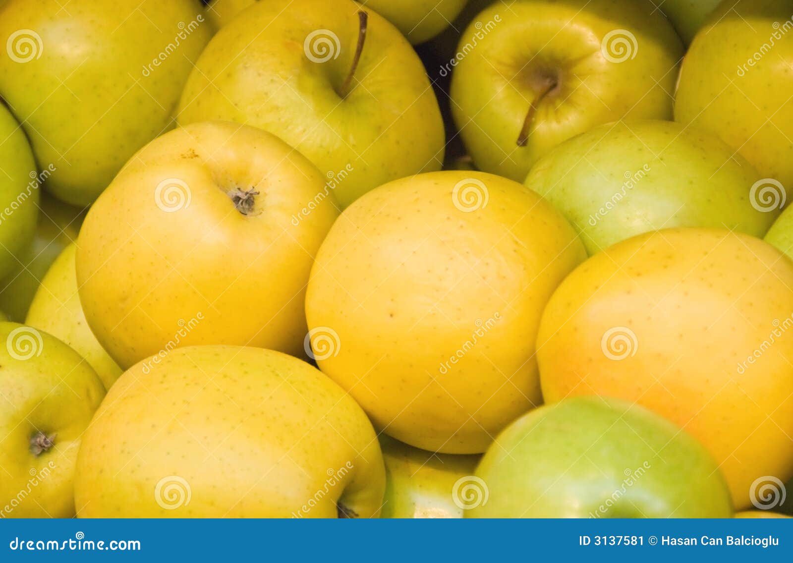 Yellow apples stock image. Image of lifestyle, stand, apples - 3137581