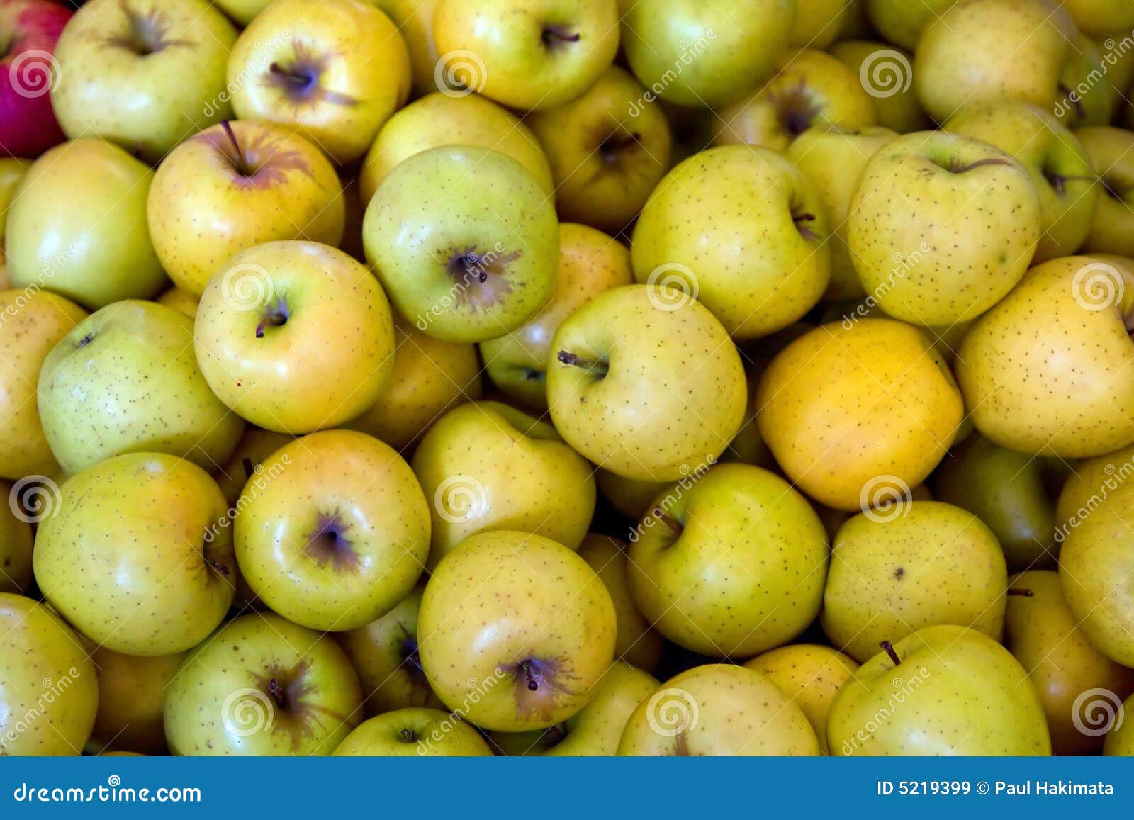 Yellow apples stock image. Image of lots, health, nutritious - 5219399