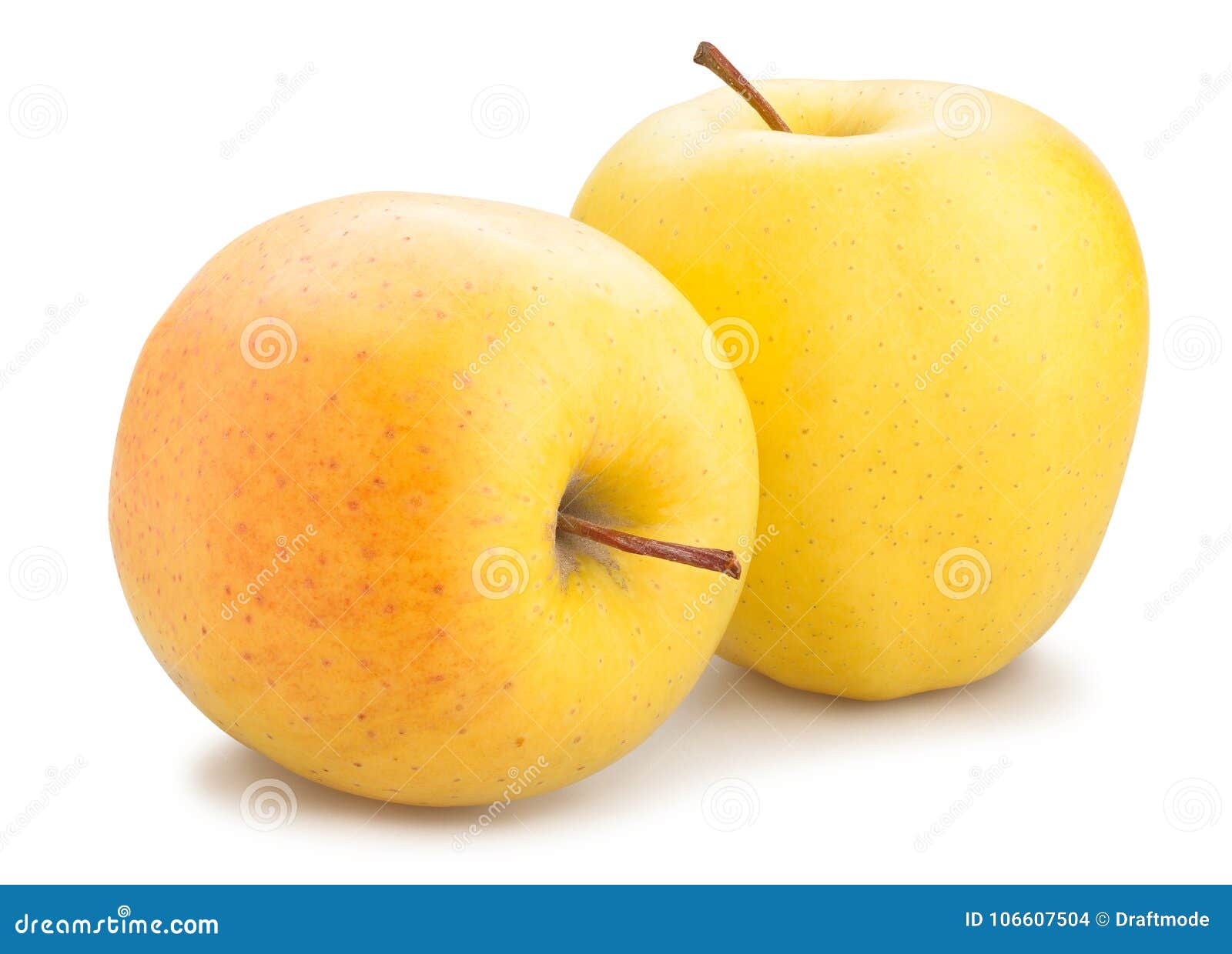 Yellow apples stock photo. Image of studio, dotted, apple - 106607504
