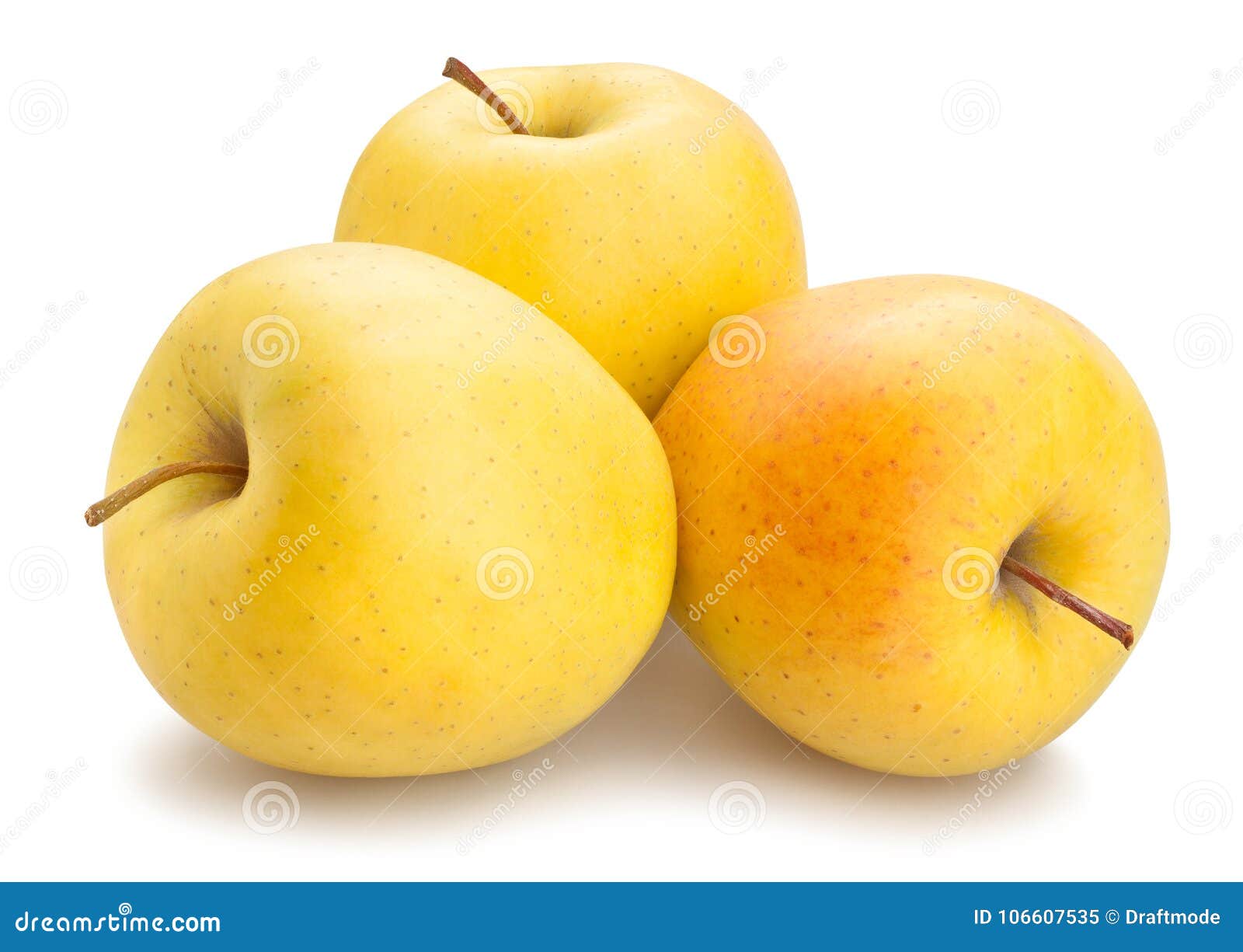 Yellow apples stock image. Image of dotted, stem, apple - 106607535