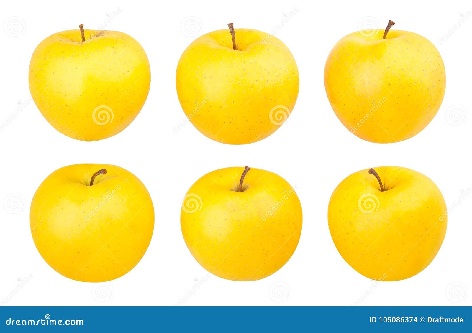 Yellow apples stock photo. Image of apple, cutout, antioxidant - 105086374