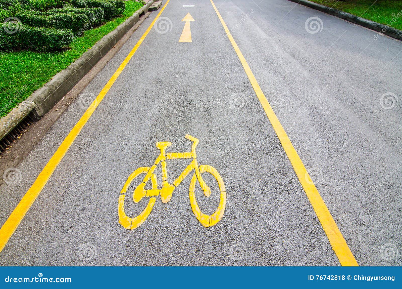 Yellow Arrows and Bicycle Sign Path Stock Photo - Image of ride, lines ...