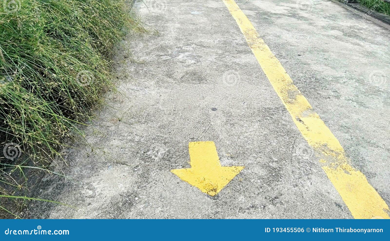 Yellow Arrows and Dashes in the Middle of the Road. Stock Photo - Image ...