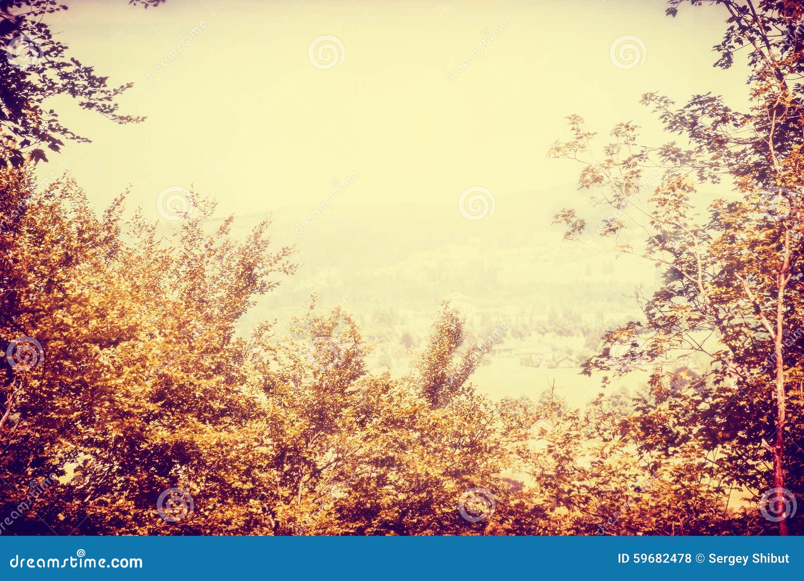 Yellow Autumn Blur Landscape with Trees and Blurred Sky Stock Photo ...