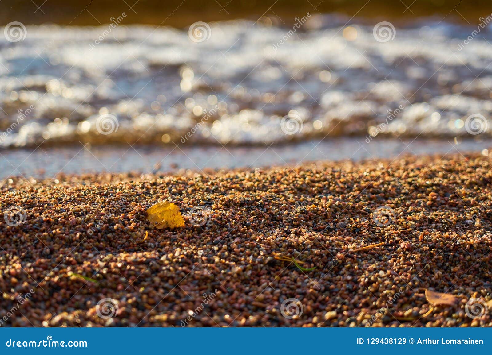 Yellow Autumn Leaf on a Beach with Blurred Waves on a Background. Stock ...
