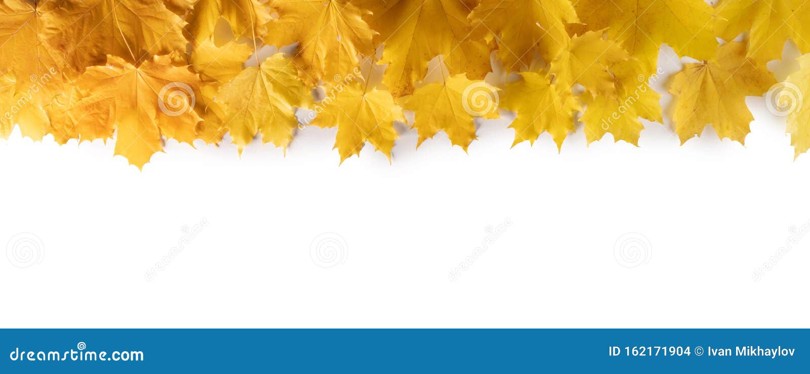 Yellow autumn leaves frame stock photo. Image of foliage - 162171904