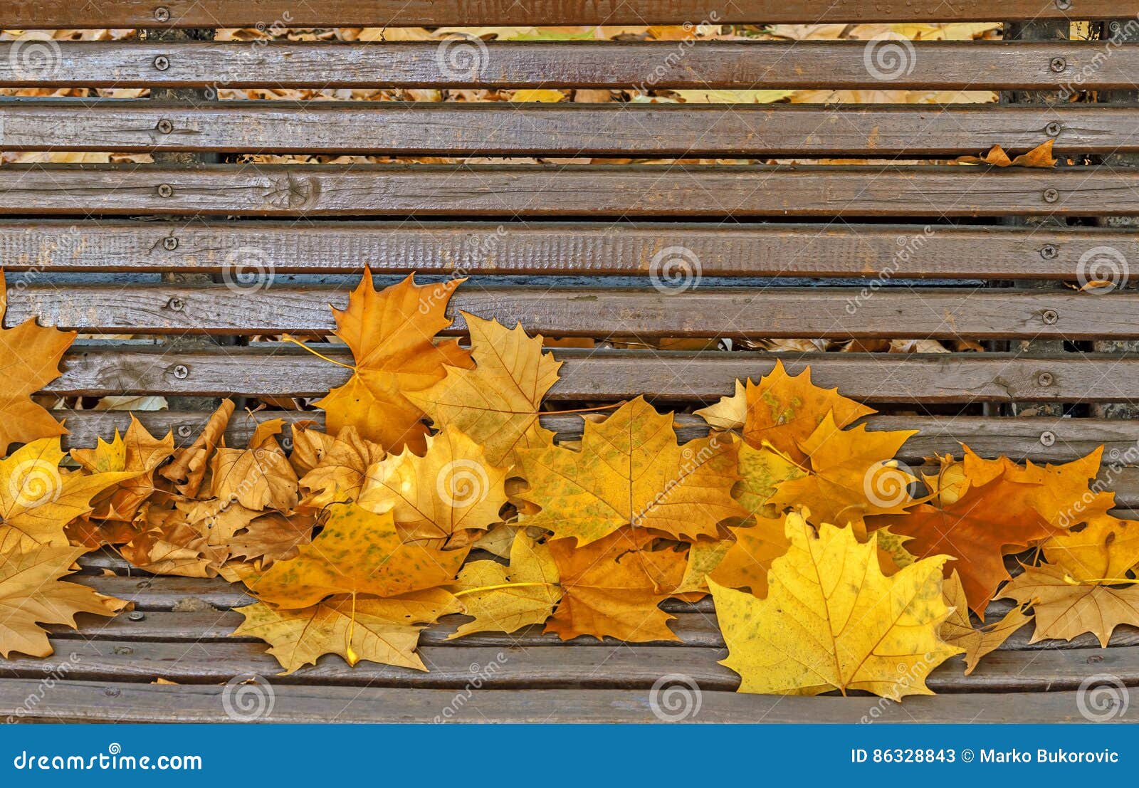 Yellow Autumn Leaves Laying on the Bench in Park Stock Image - Image of ...