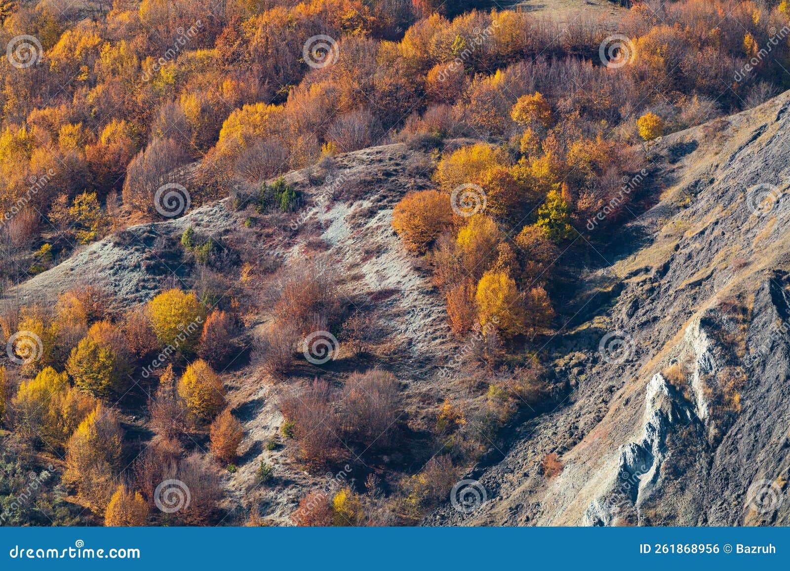 Yellow Autumn Trees on a Mountain Slope Stock Photo - Image of gorgeous ...