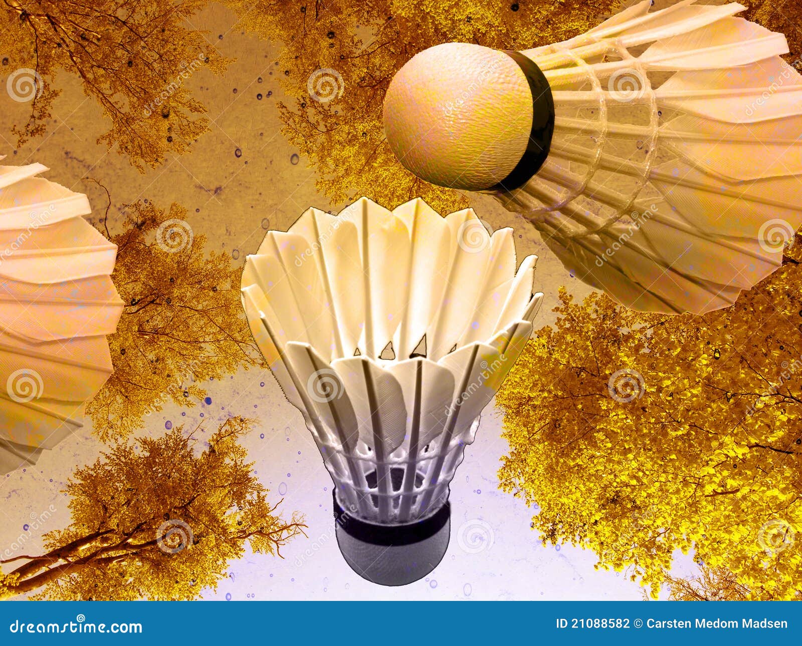 Yellow Badminton Shuttlecocks And Line Hall Floor At Badminton Courts ...