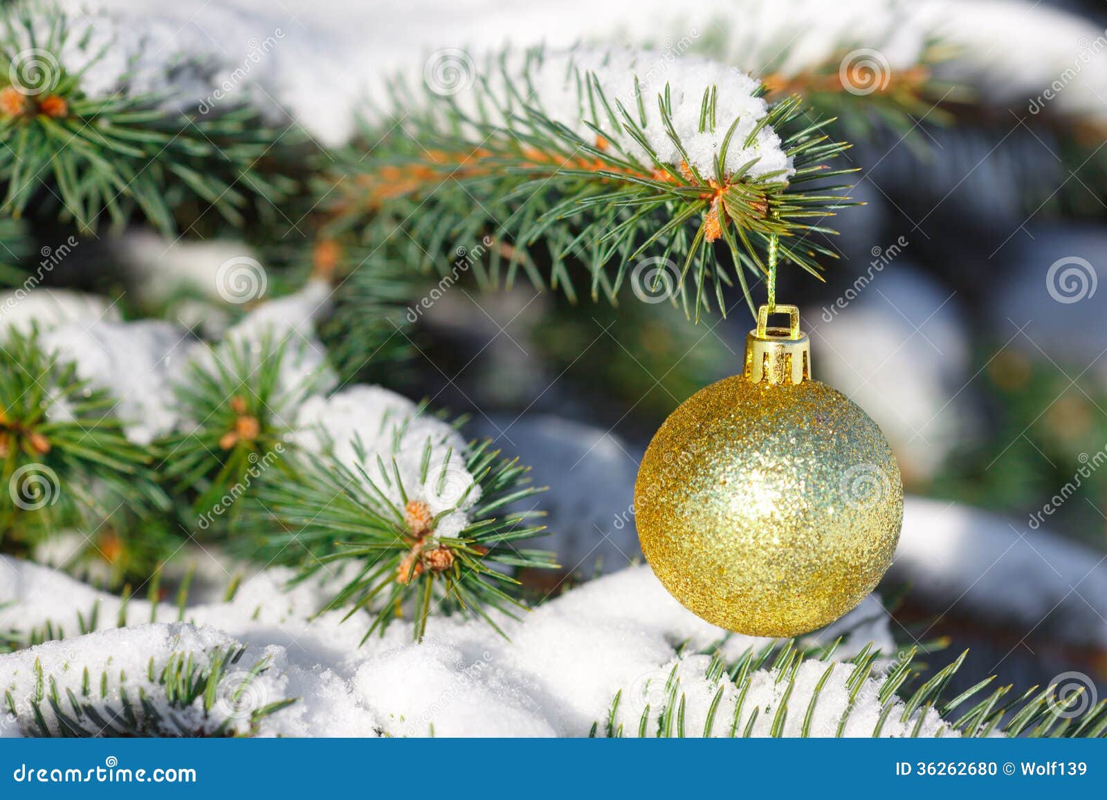 Yellow Ball on the Christmas Tree Stock Photo - Image of ornament, gold ...