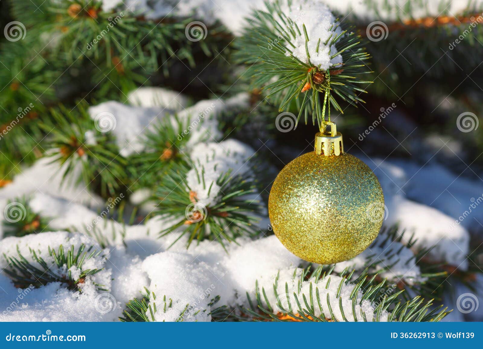 Yellow Ball on the Christmas Tree Stock Image - Image of needle, cool ...