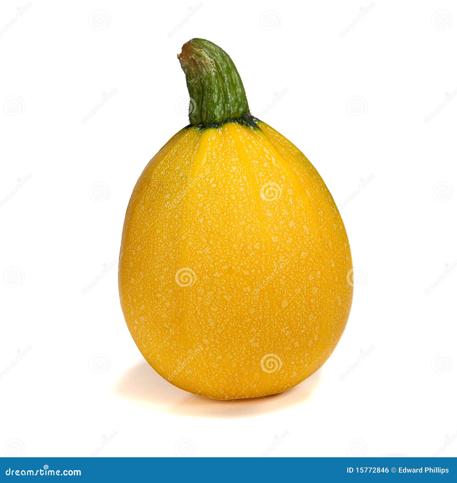 Yellow Ball Courgette Royalty Free Stock Image - Image: 15772846