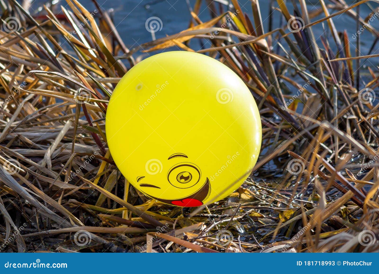 The Yellow Balloon with the Image of a Cheerful Muzzle Stock Image ...