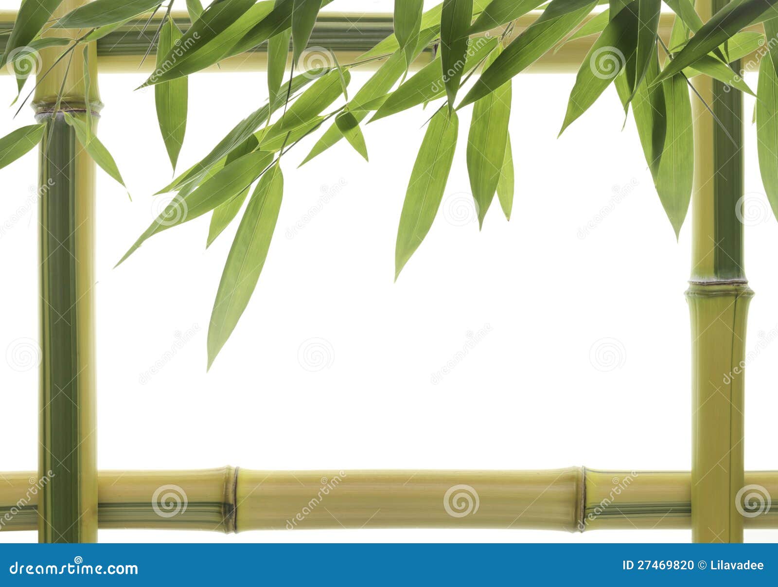 Yellow Bamboo Frame stock photo. Image of element, macro - 27469820