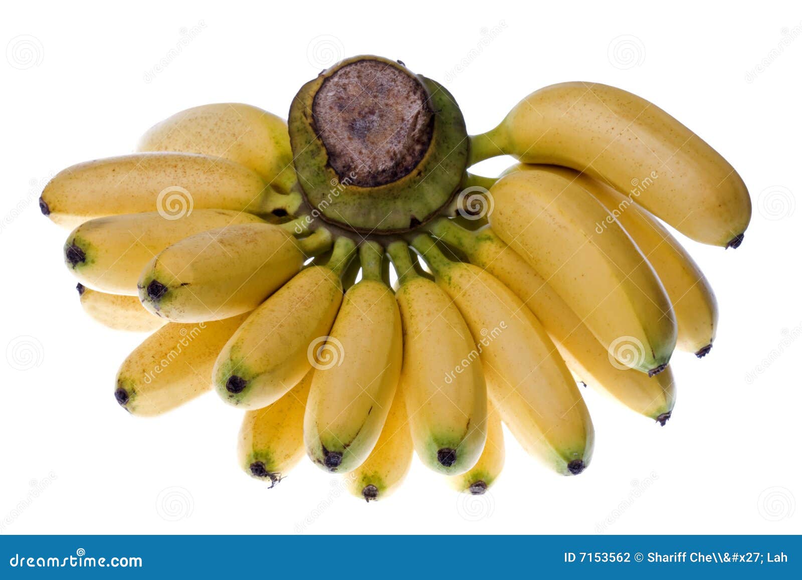 Yellow Bananas Isolated stock photo. Image of ripe, snacks - 7153562