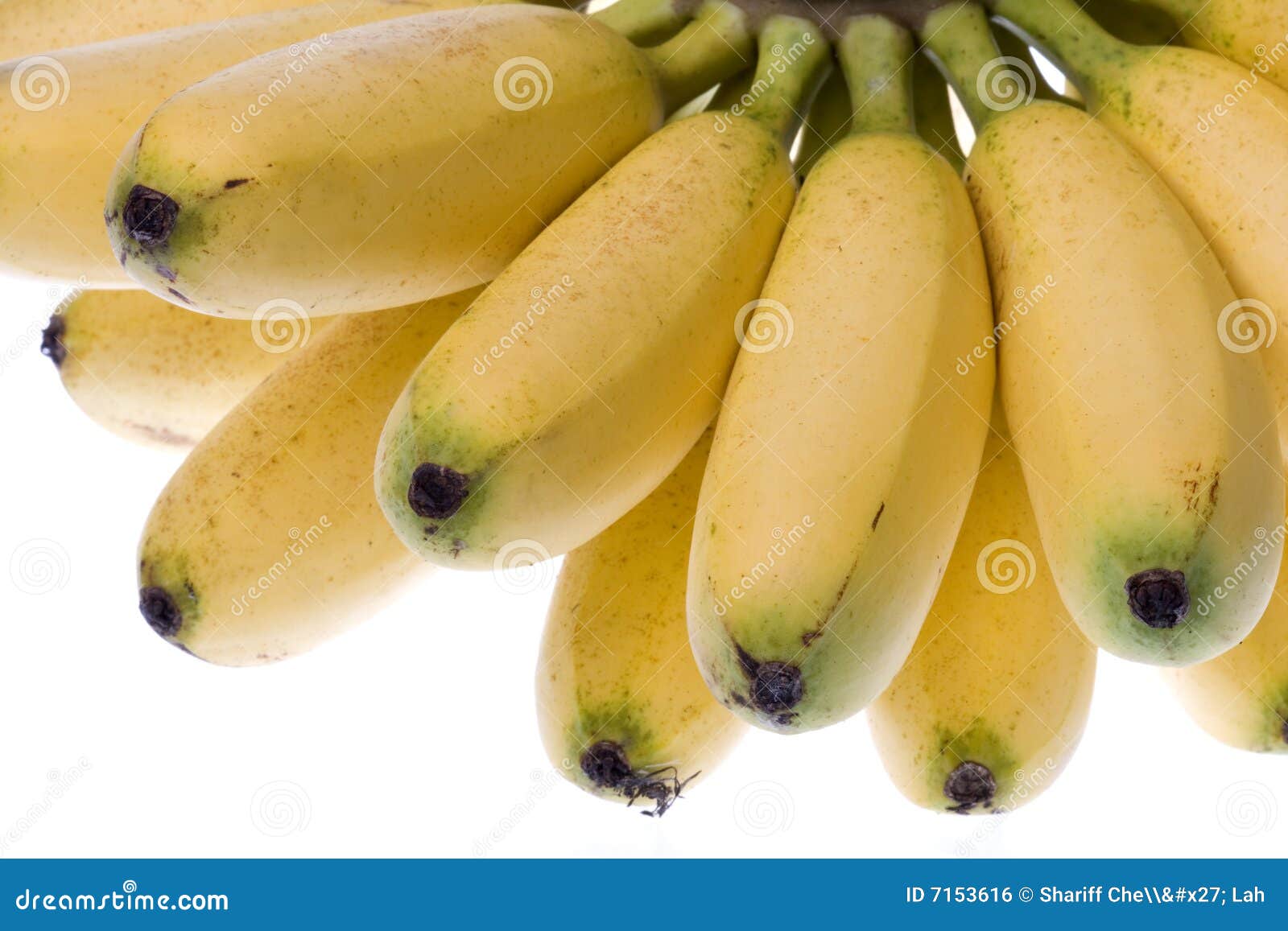Yellow Bananas Isolated stock photo. Image of dessert - 7153616