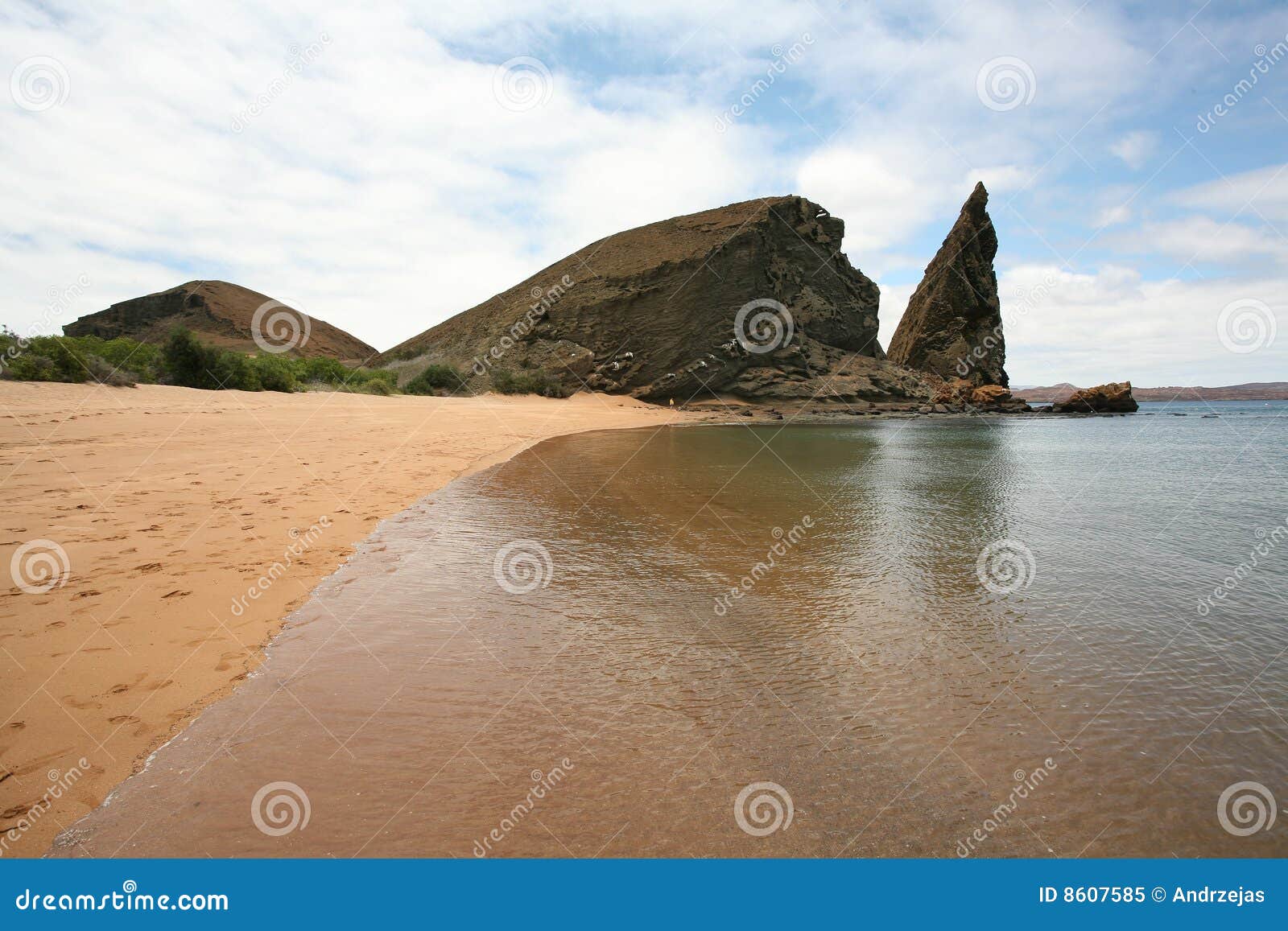 Yellow Beach stock image. Image of seascape, galapagos - 8607585