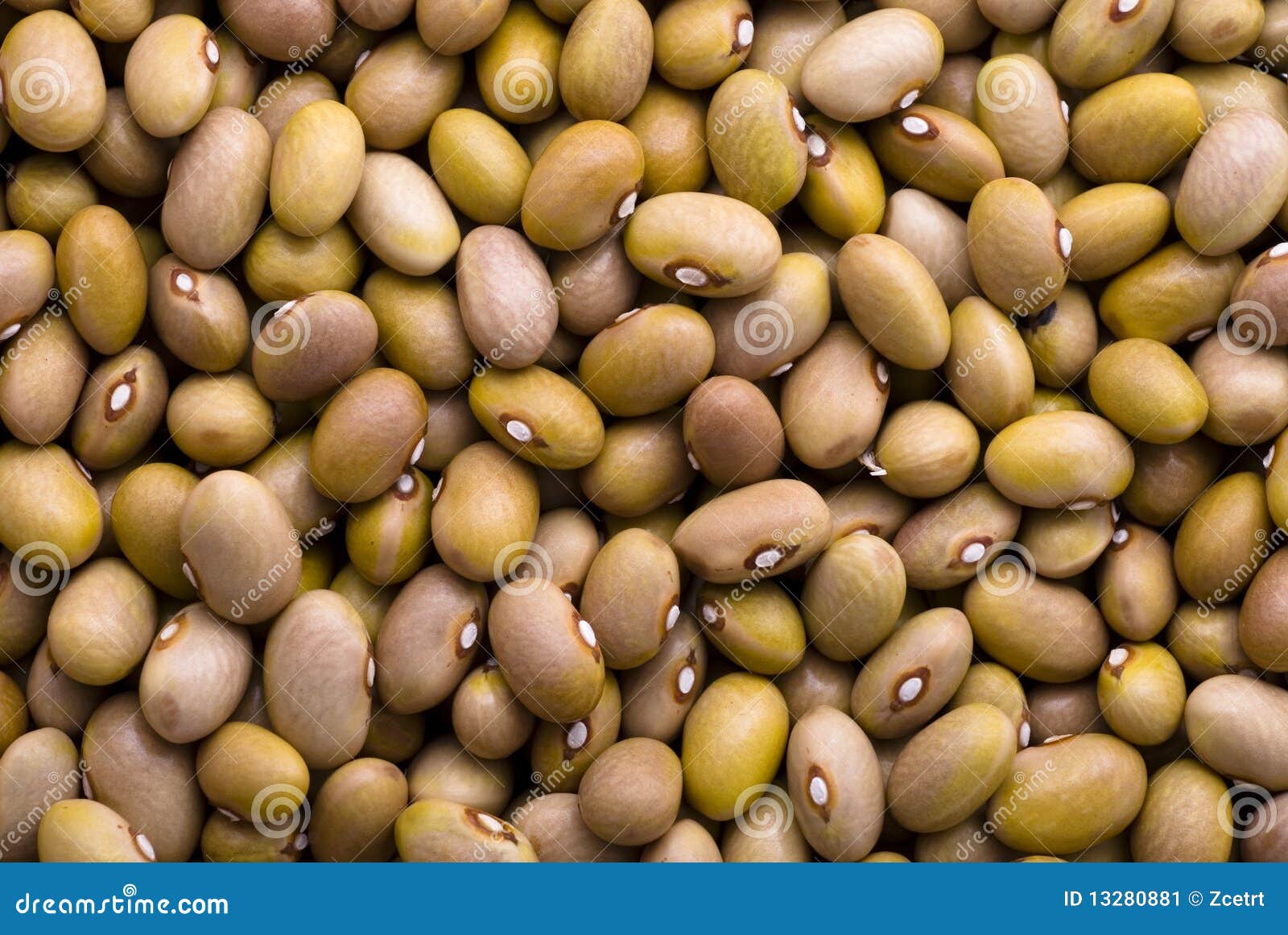 Yellow beans stock image. Image of beans, crowd, ochre - 13280881