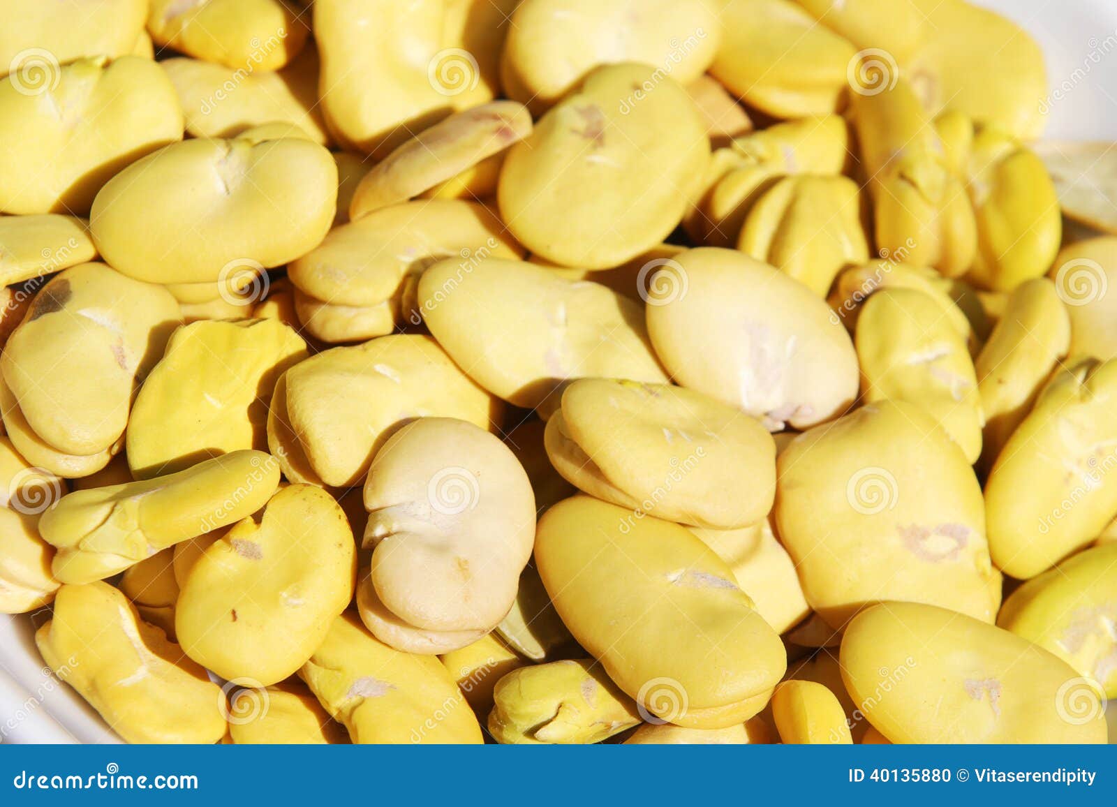 Yellow beans stock photo. Image of grain, ecologic, legumes - 40135880