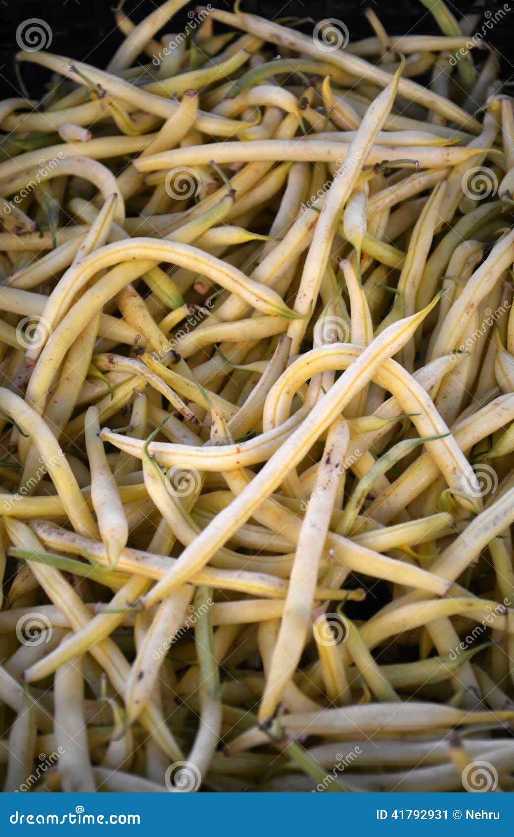Yellow beans stock image. Image of healthy, object, nutrition - 41792931