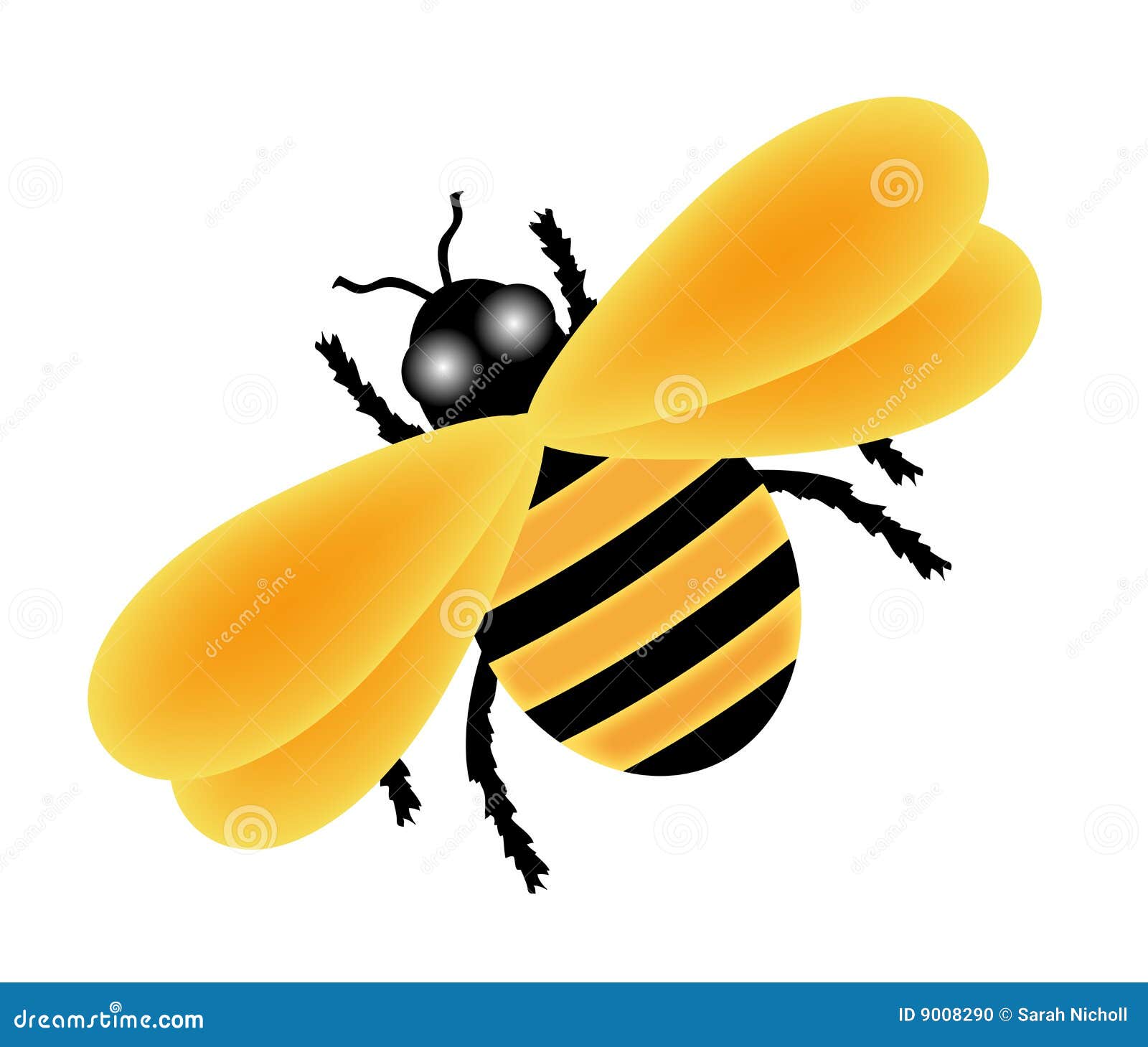 Yellow Bee stock illustration. Illustration of queen, white - 9008290