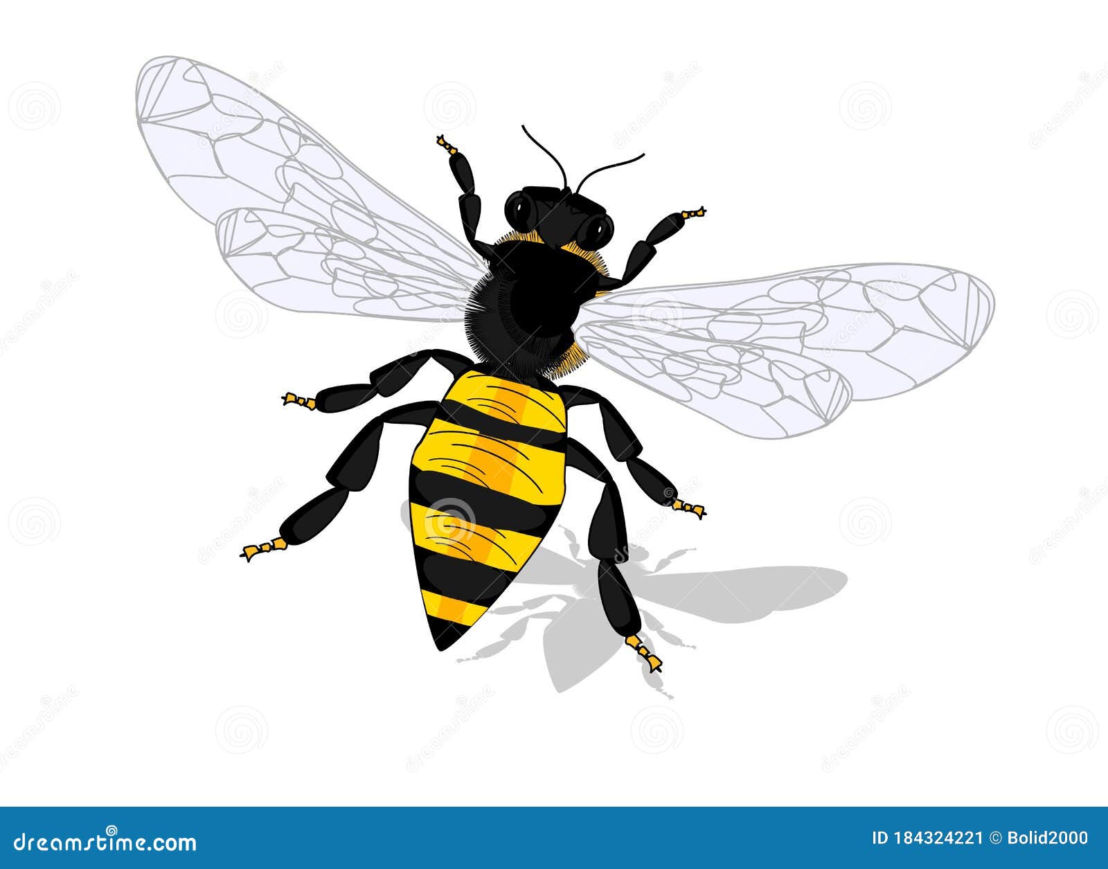 Bee and her shadow stock illustration. Illustration of sting - 184324221