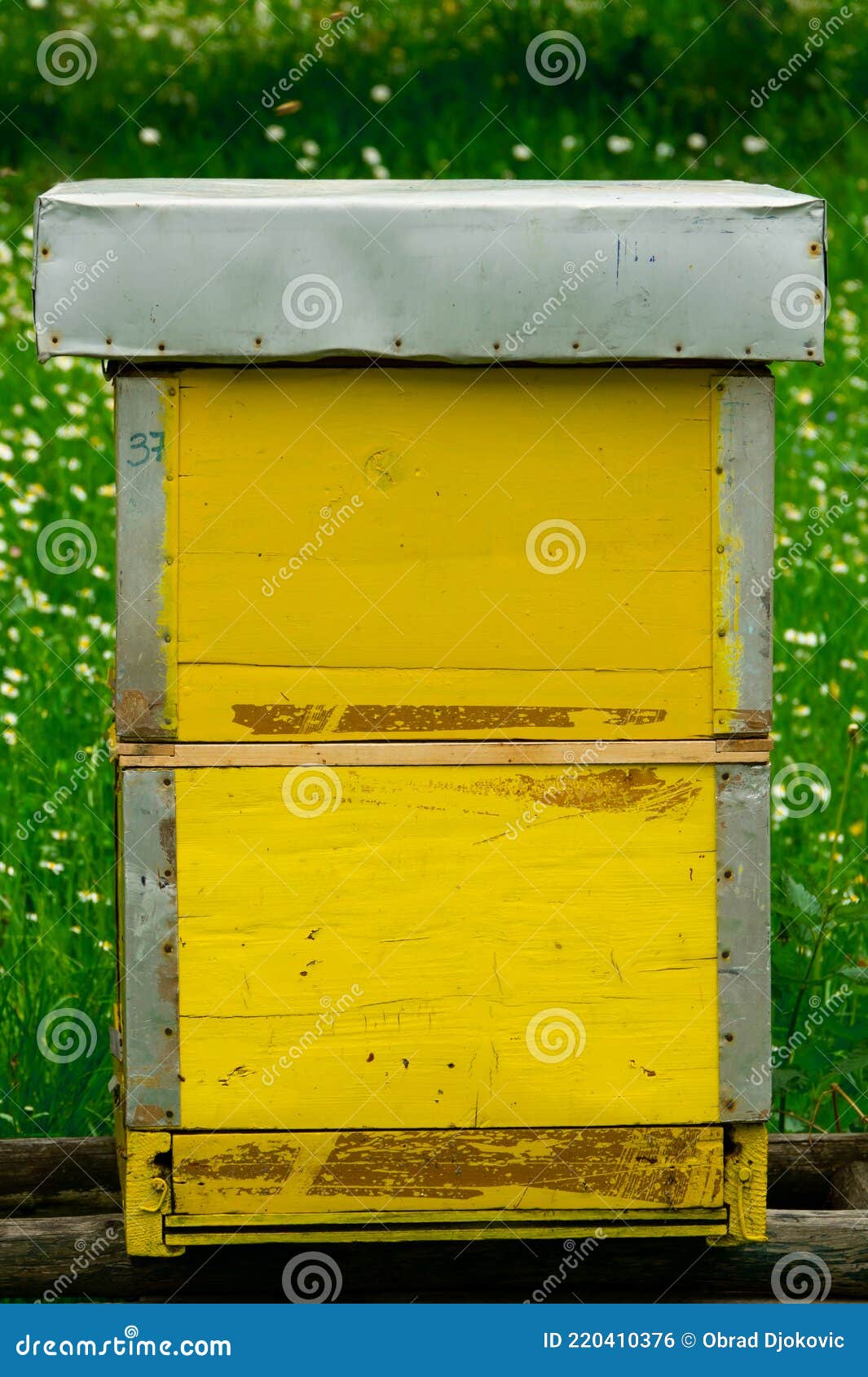 Yellow Beehive from the Back Stock Photo - Image of agriculture, yard ...