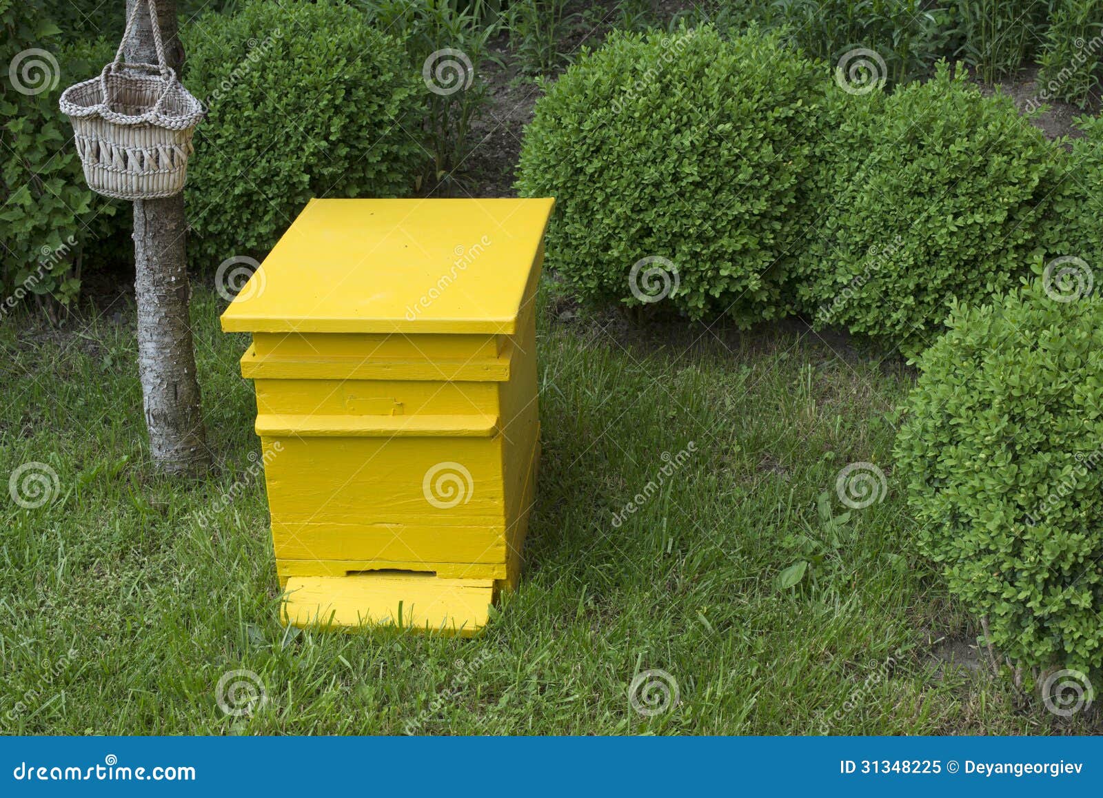 Yellow beehive stock image. Image of agriculture, pollen - 31348225