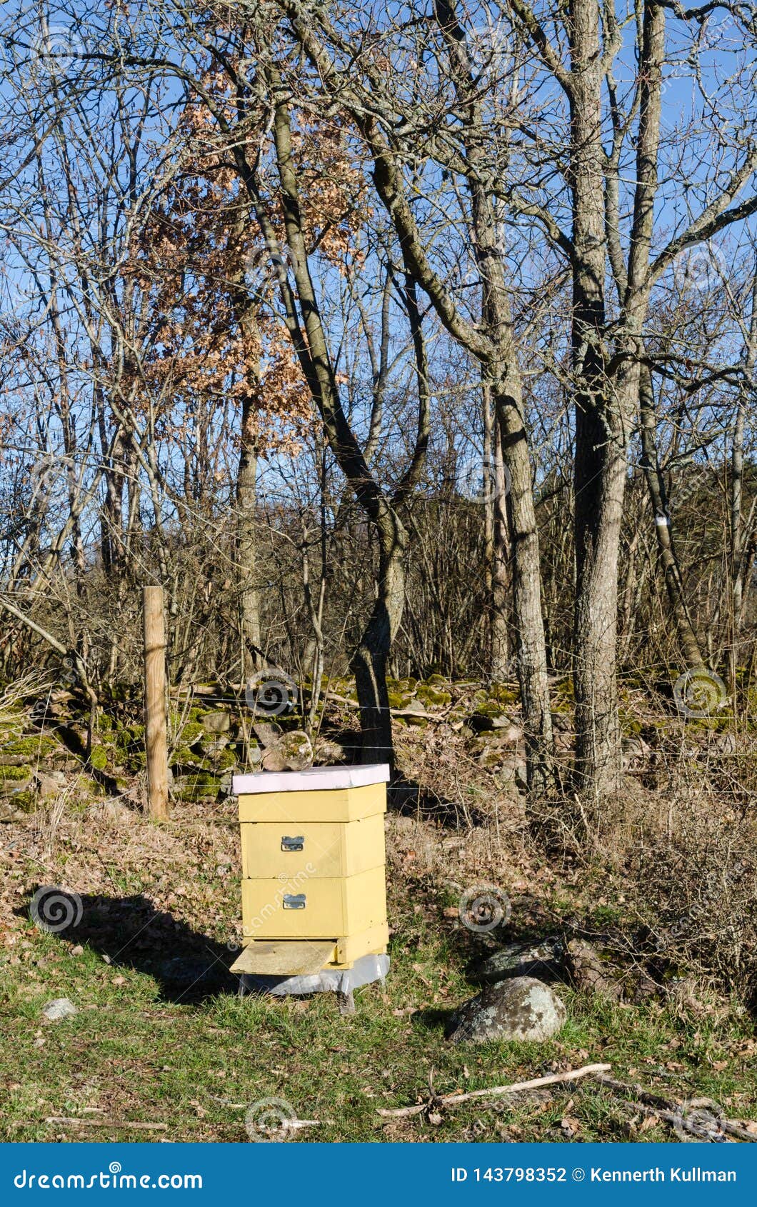 Yellow beehive in a meadow stock photo. Image of trees - 143798352