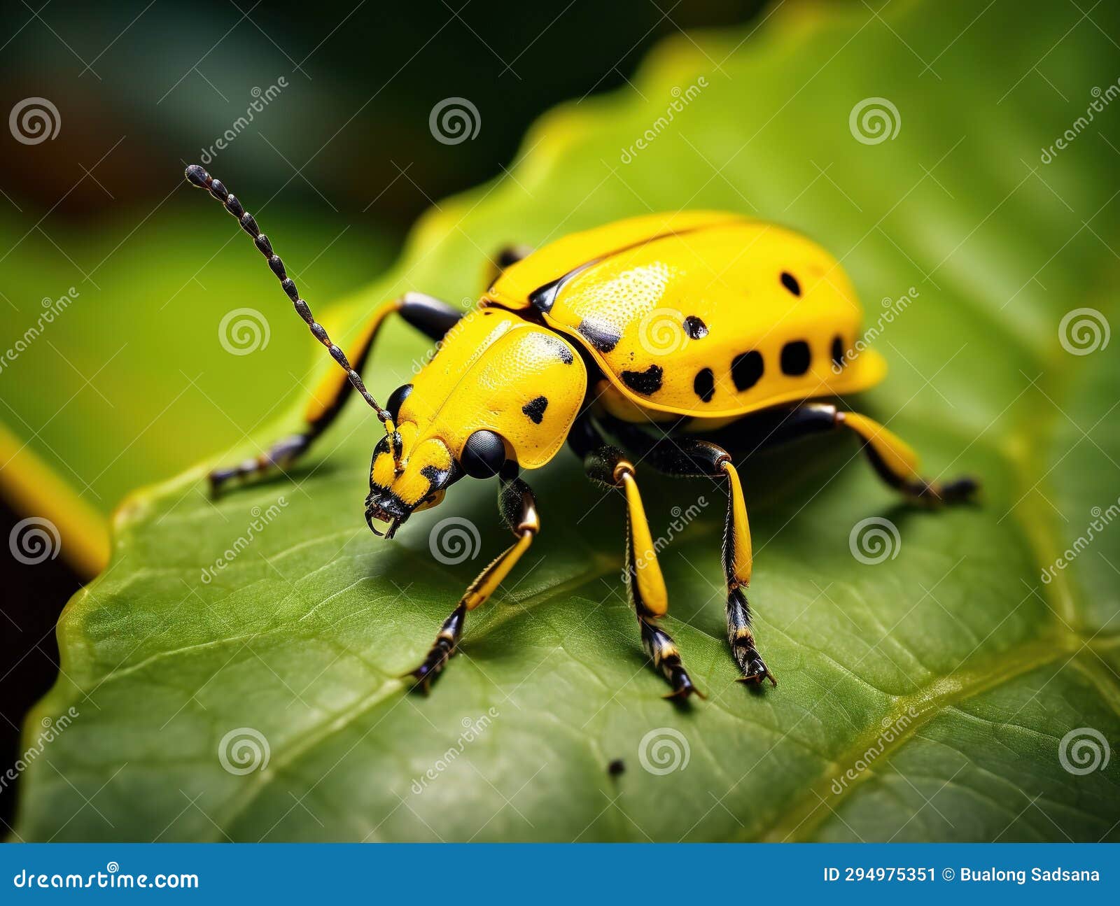 Yellow Beetle Made with Generative AI Illustration Stock Illustration ...