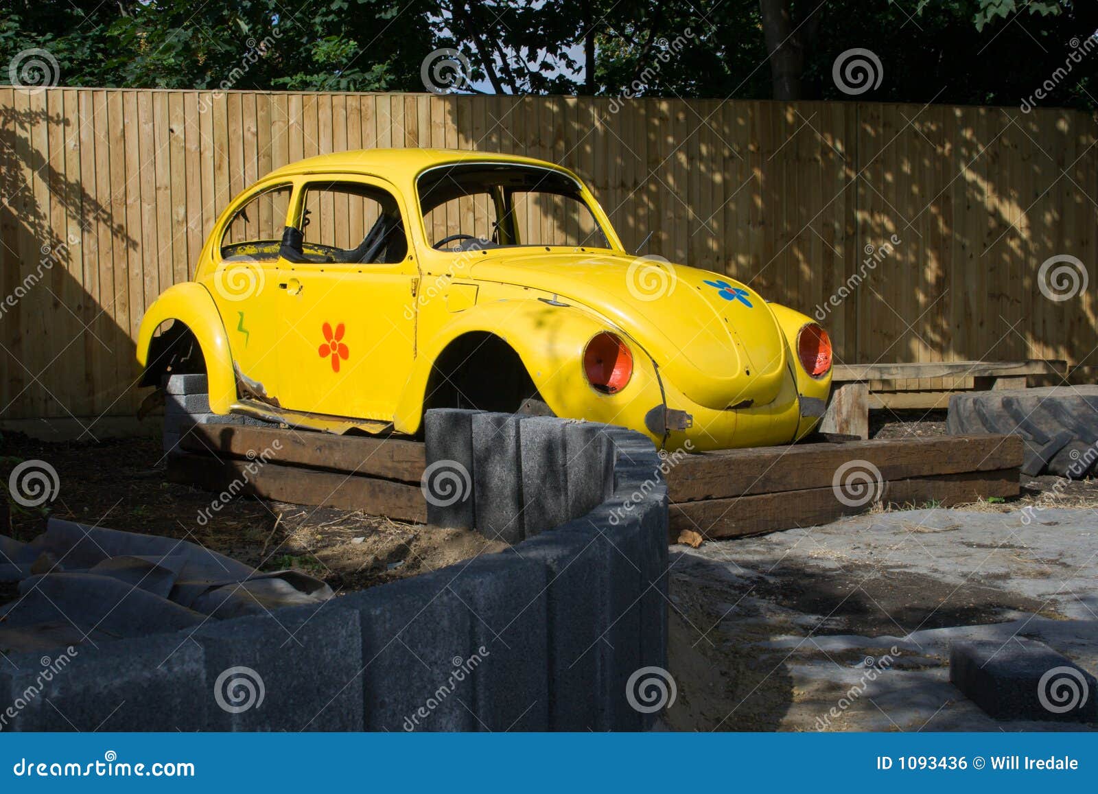 Yellow Beetle Shell stock photo. Image of chassis, yellow - 1093436
