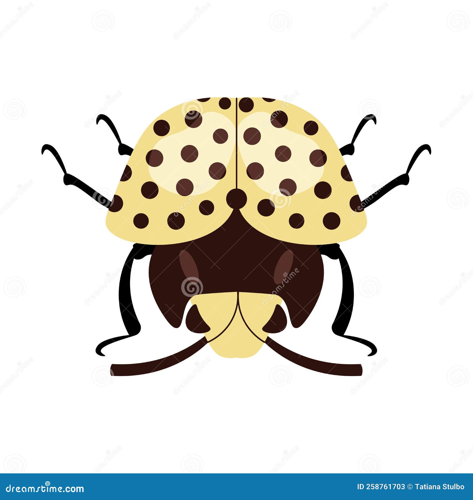 Yellow Beetle Top View Isolated On A White Background Royalty-Free ...