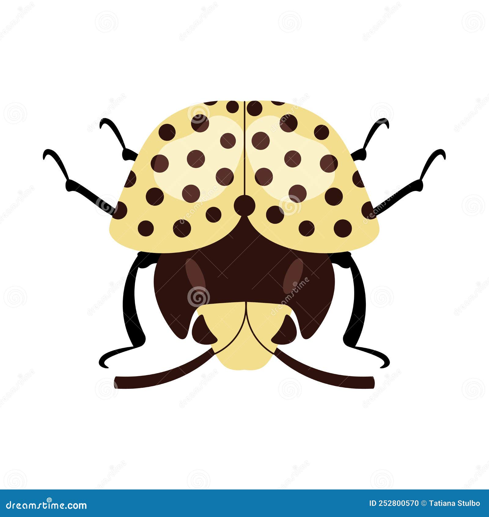 Yellow Beetle Top View Isolated On A White Background Vector ...
