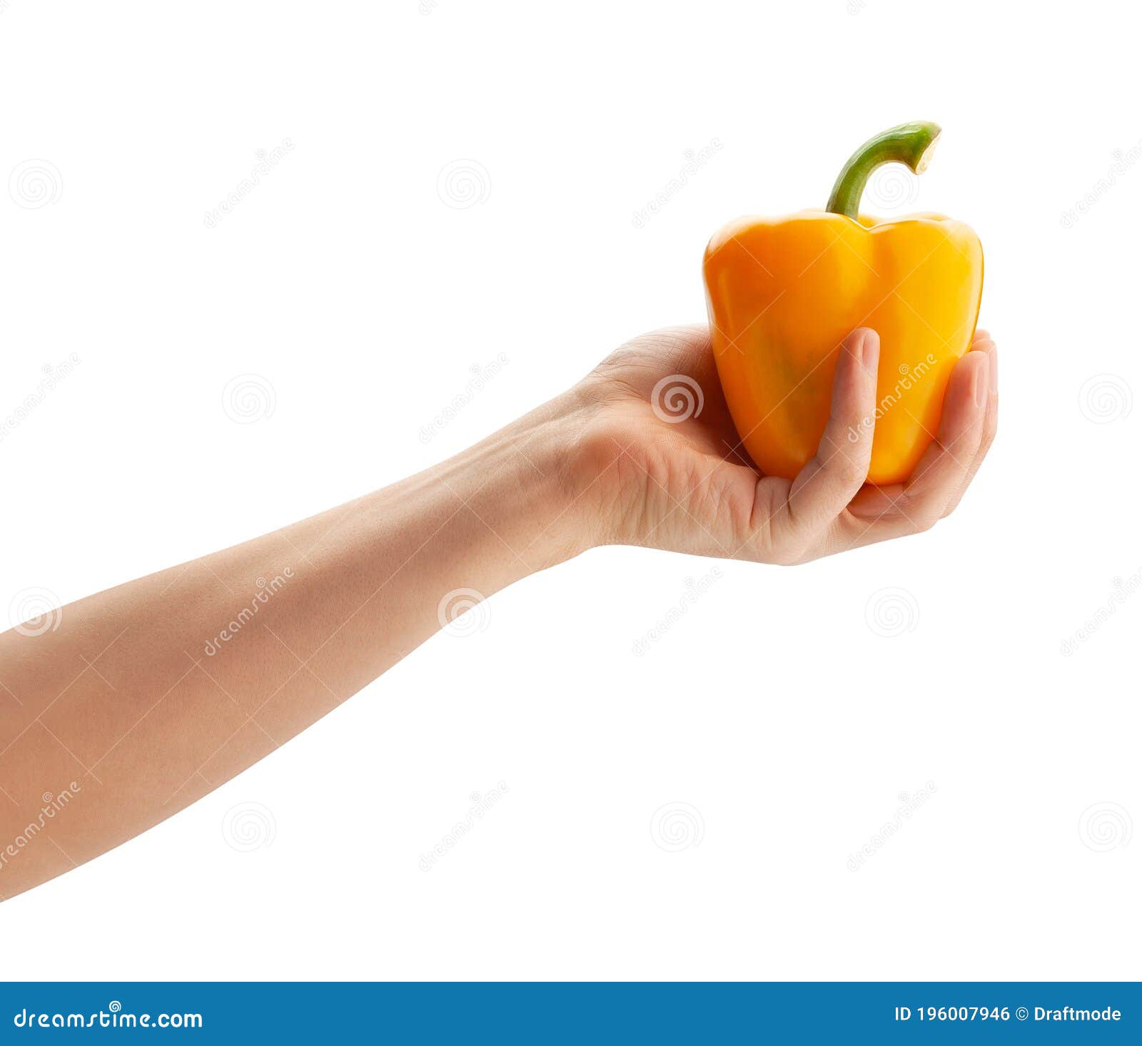 Yellow bell pepper stock photo. Image of hand, pepper - 196007946