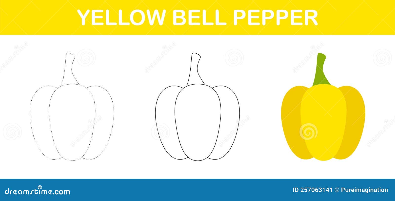 Yellow Bell Pepper Tracing and Coloring Worksheet for Kids Stock Vector ...