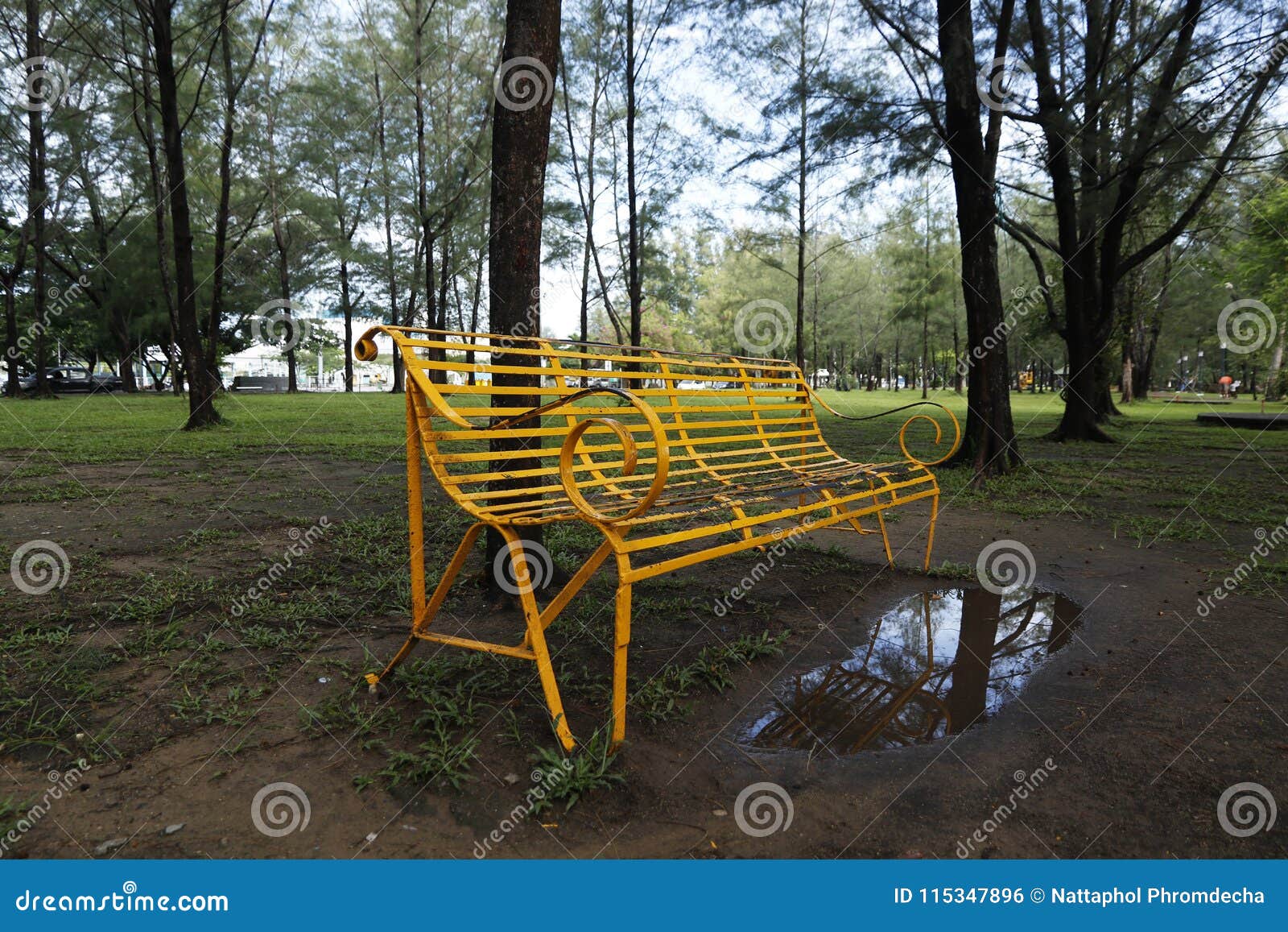 Yellow bench in the garden stock photo. Image of beautiful - 115347896