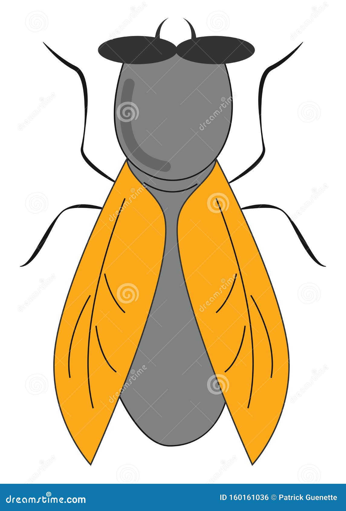 Yellow Bettle , Vector or Color Illustration Stock Vector ...