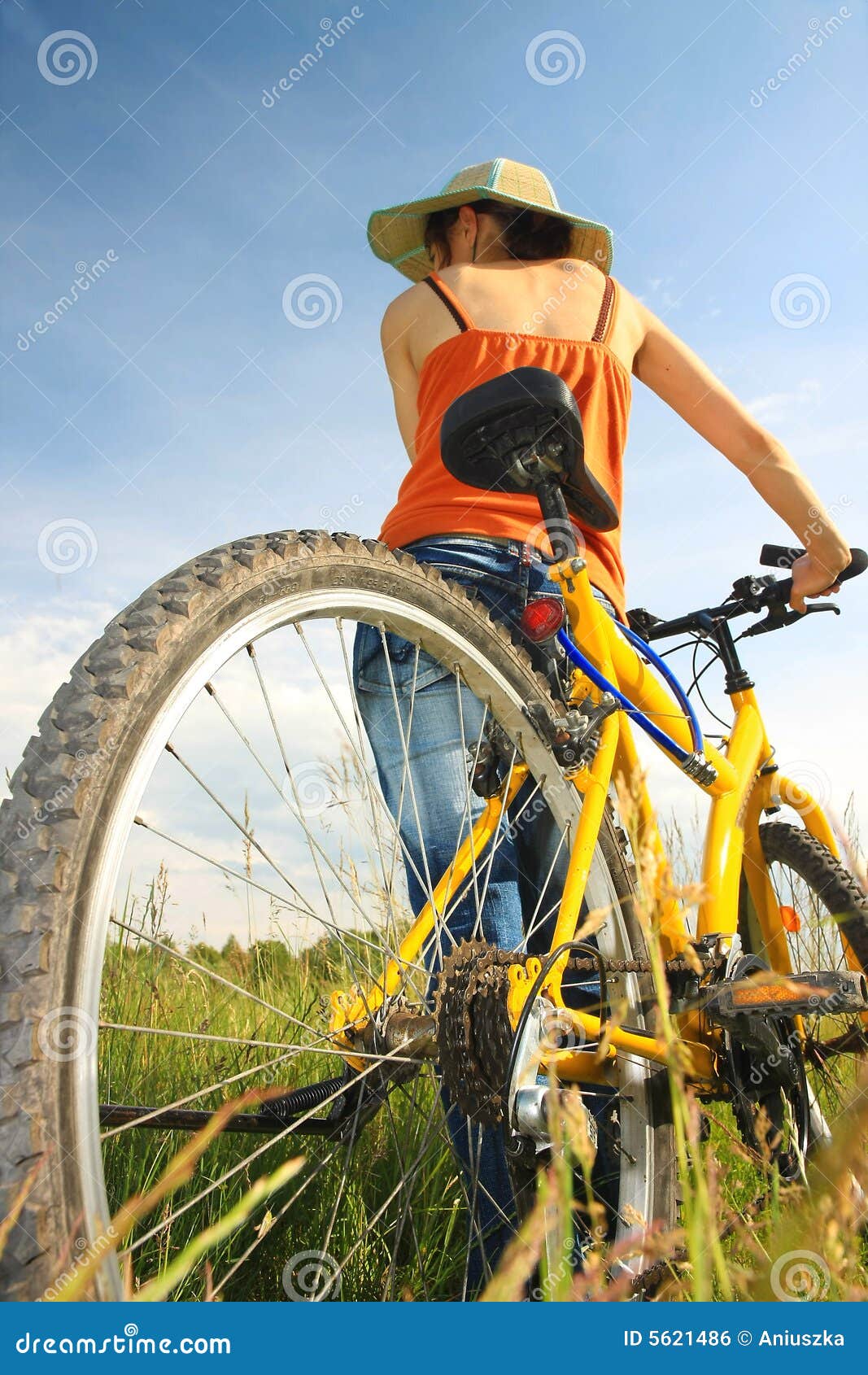 Yellow bicycle stock photo. Image of girl, live, field - 5621486