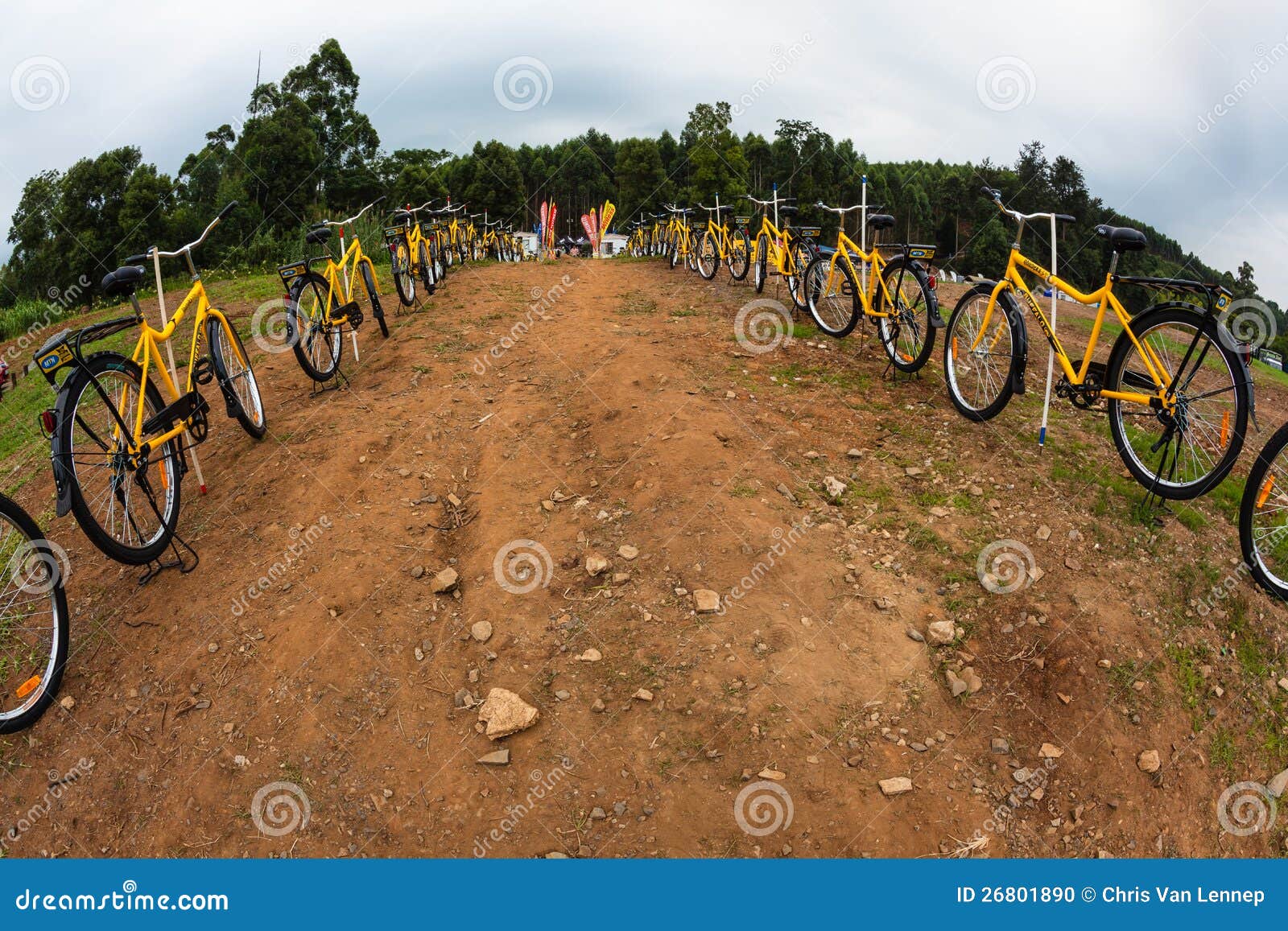 Yellow Bicycle Entrance editorial image. Image of entrance - 26801890